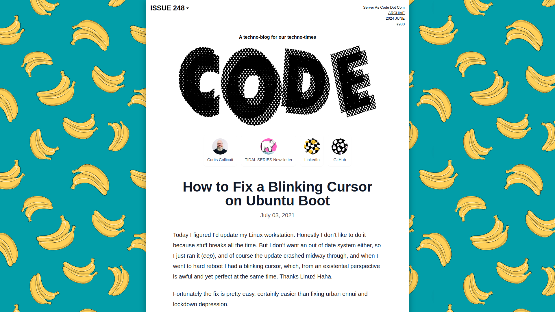 How To Fix A Blinking Cursor On Ubuntu Boot Server As Code Dot Com