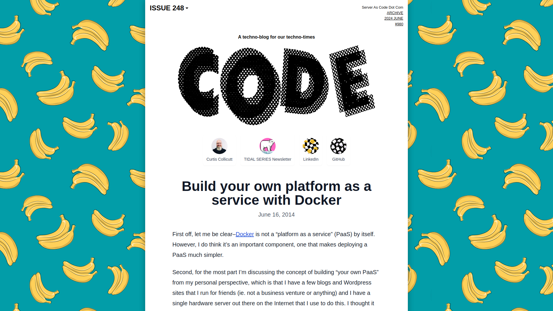 Build your own platform as a service with Docker | Server As Code Dot Com