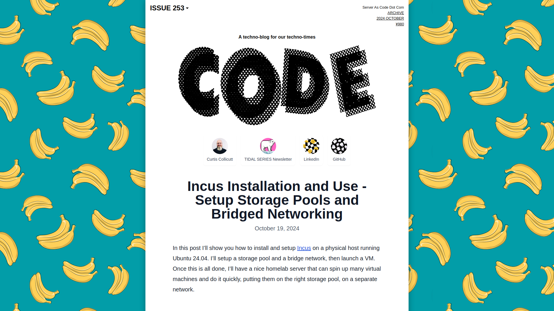 Incus Installation and Use - Setup Storage Pools and Bridged Networking | Server As Code Dot Com